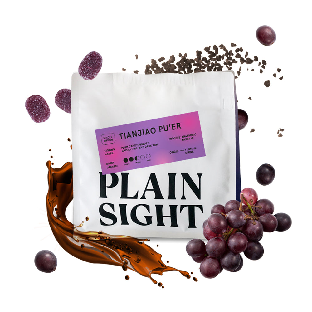 Coffee Beans Philippines | Plain Sight Coffee Roasters