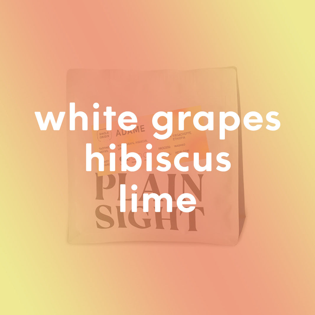 Coffee Beans Philippines | Plain Sight Coffee Roasters